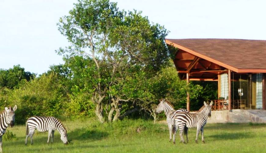 Mara Simba Lodge is a luxury - luxuy accommdation in masai mara