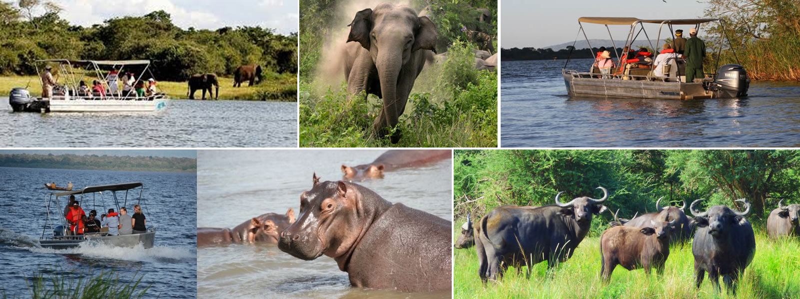 Akagera national park - Rwanda national parks, Rwanda safari