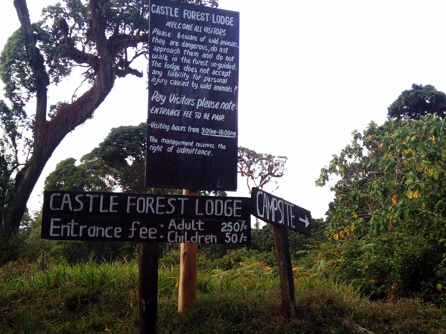 Castle Forest Lodge - Mount Kenya National Park | Kenya Safaris