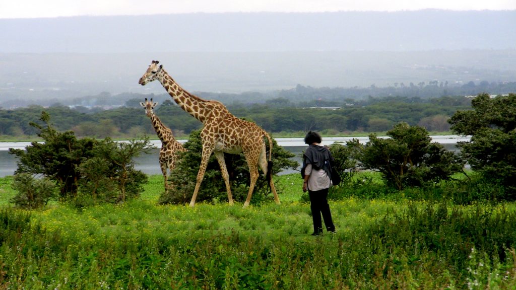 Crescent Island in Lake Naivasha | Lake Naivasha | Wildlife Safari