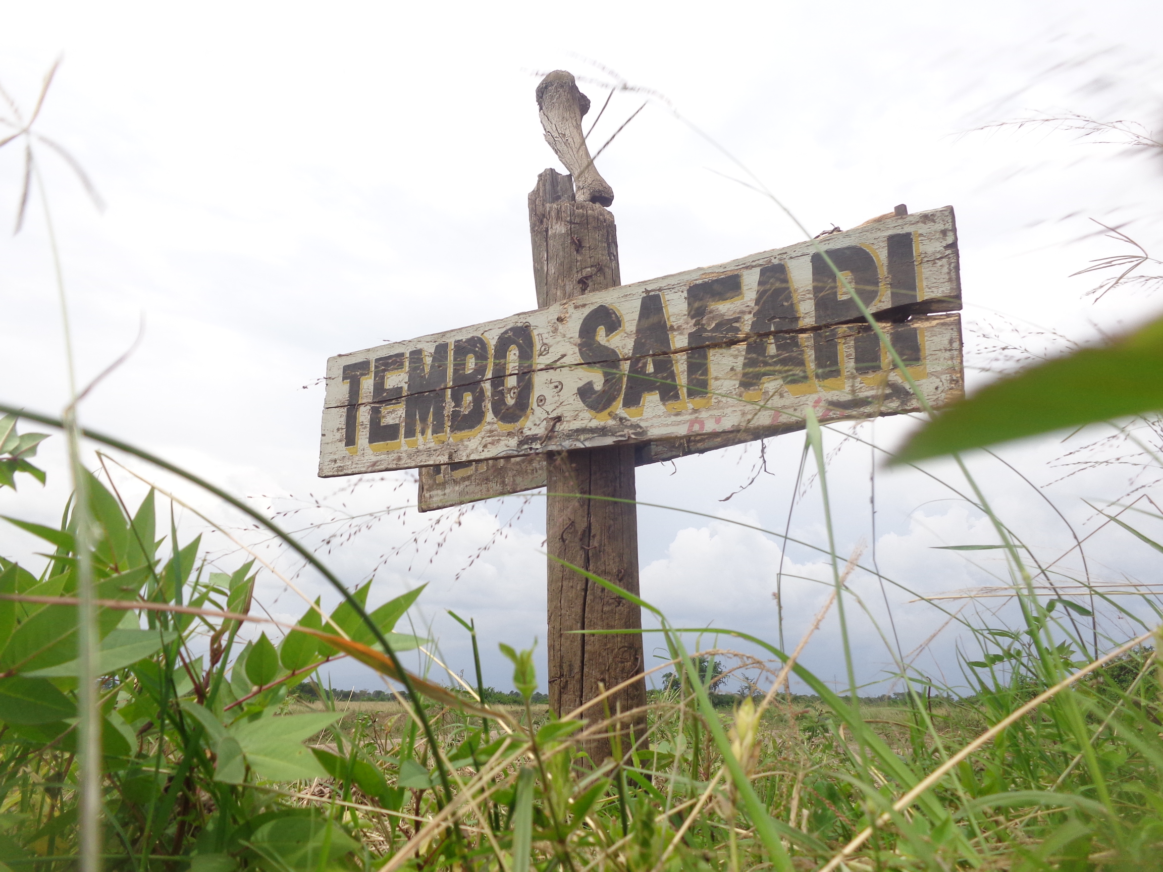 Tembo safari lodge | Uganda Accommodation | Queen Elizabeth Park