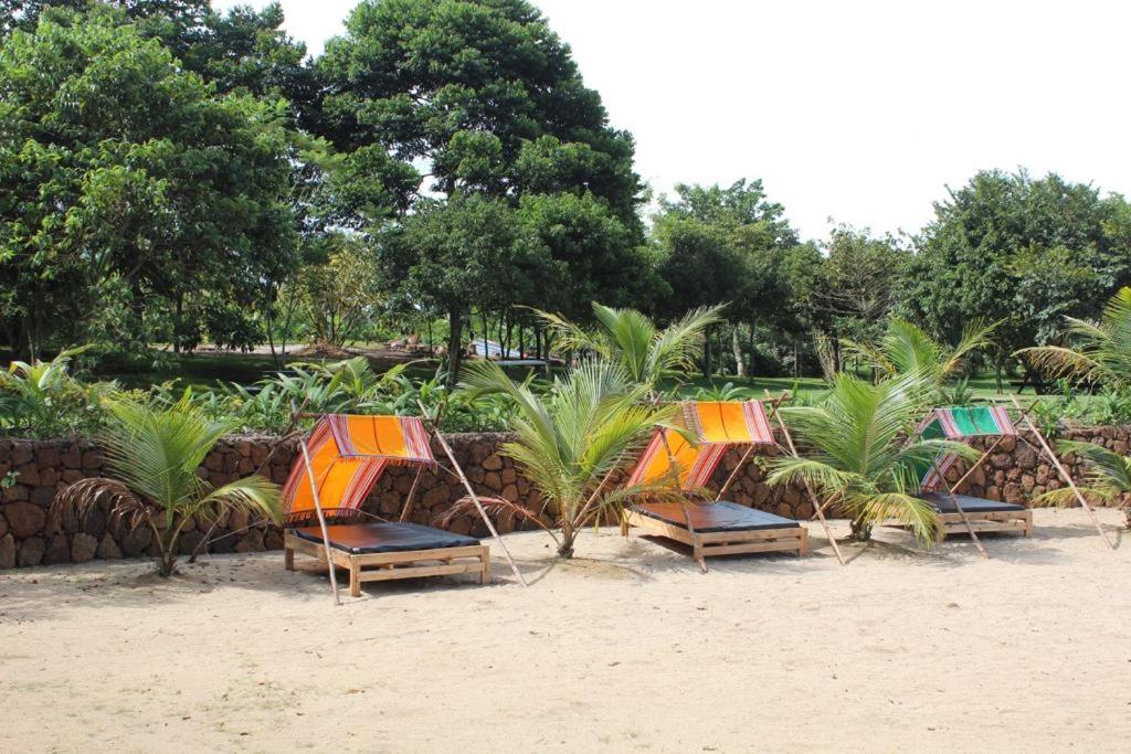 Mabamba Lodge | Mabamba Swamp | Lake Victoria | Uganda Safaris